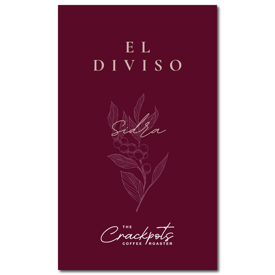 Colombia Huila El Diviso Sidra Bourbon T.S. Yeast Natural – The ...